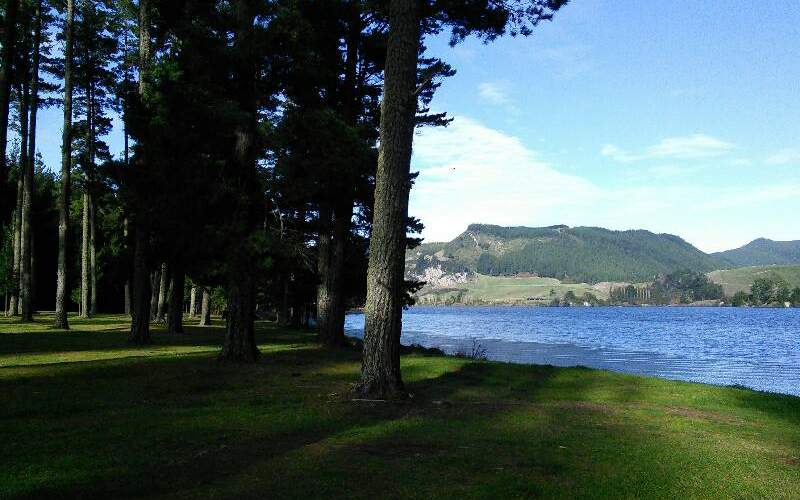 Whakamaru Reserve | Freedom/Basic Camp | New Zealand